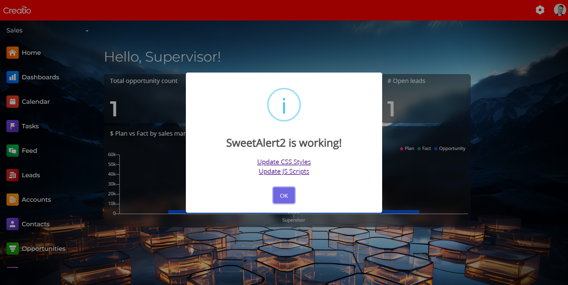 Experceo Global JS/CSS Editor for Creatio | Creatio Marketplace